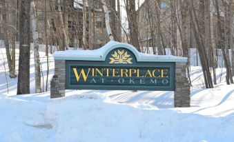 Ski-in/Ski-Out Condo: Most Accessible Location on Okemo Mountain ...
