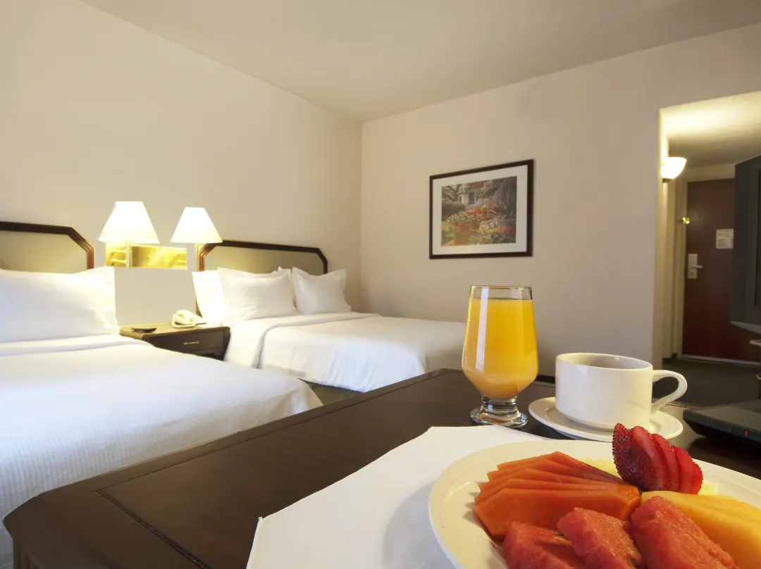 Fiesta Inn Toluca Tollocan - メテペック