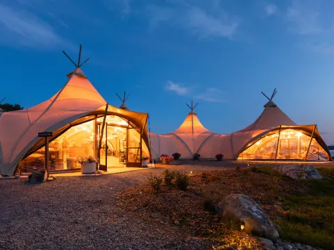 Under Canvas Acadia - Acadia National Park