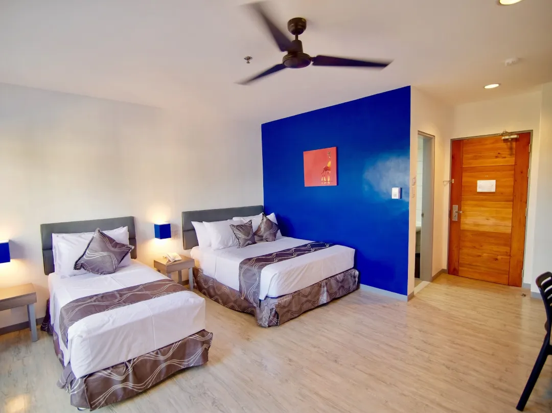 Baguio Lefern Hotel Military Cut-off - Baguio