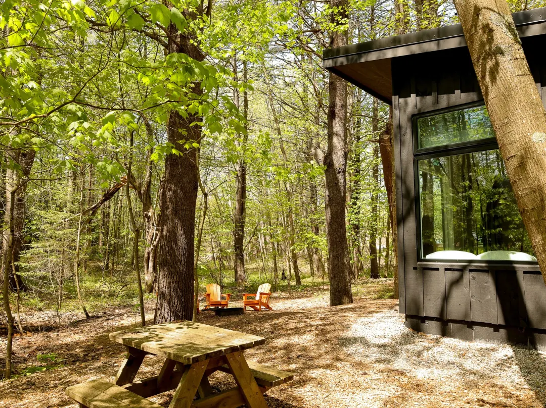 Exquisite Comfort With Outdoor Oasis - Charming, Modern Cabin - Freeport