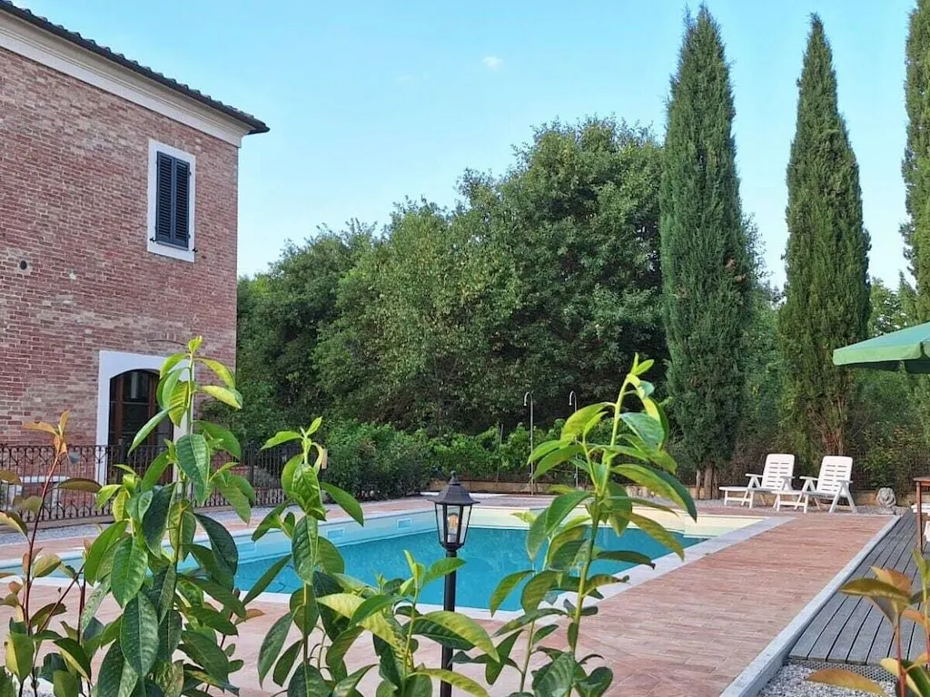 Fornace Del Conte - Vigneto - Tuscany