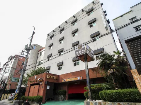 Pohang Lotos - Pohang