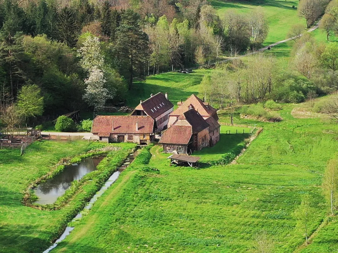 Maison D'hôtes La Paulusmühle Ancien Moulin En Pleine Nature - Lothringen