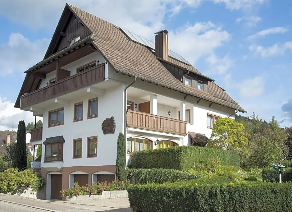 Hotel Garni Schmieder’s Ochsen - Seelbach