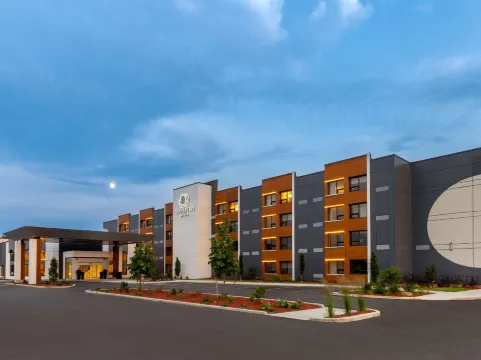 Doubletree By Hilton Kingston - Kingston