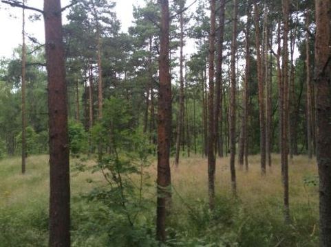 Pervalkos Baltija, Pervalka - 2025 Updated Prices, Deals & Reviews ...