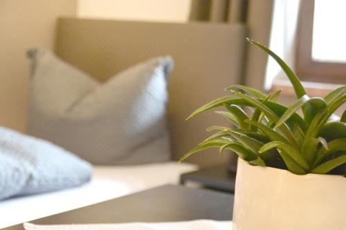 Pension Almhof Baumgarten - Bad Reichenhall