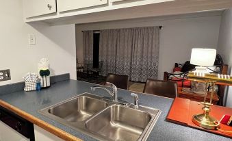 COPPER SKI MOUNTAIN EAST VILLAGE, PET FRIENDLY, VIEWS of SKY CHUTES ...