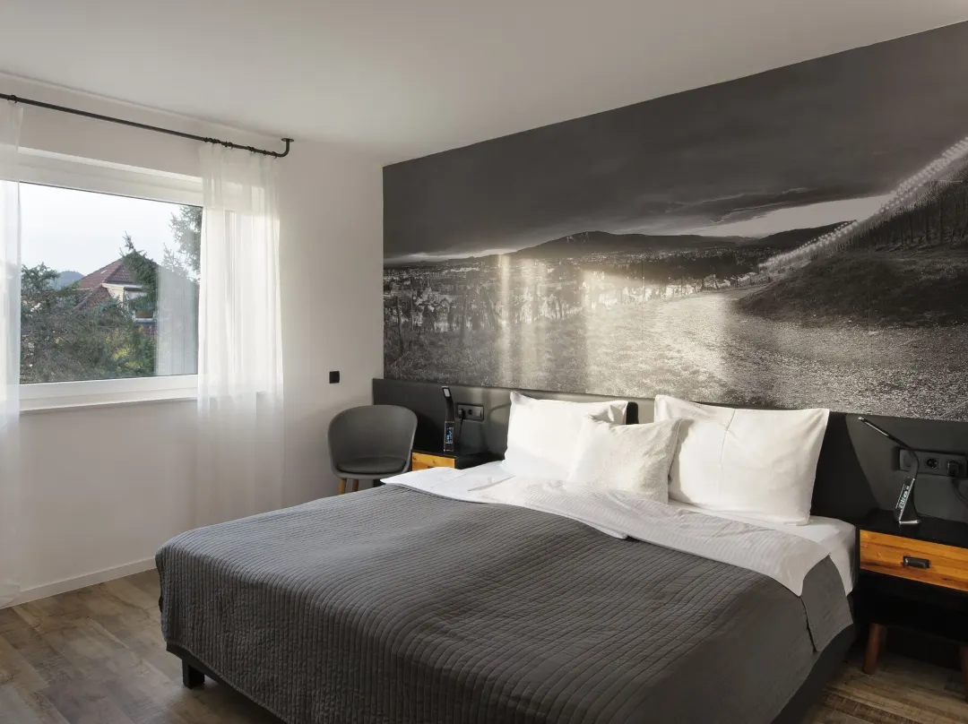 Hotel Citymap Maribor - Maribor
