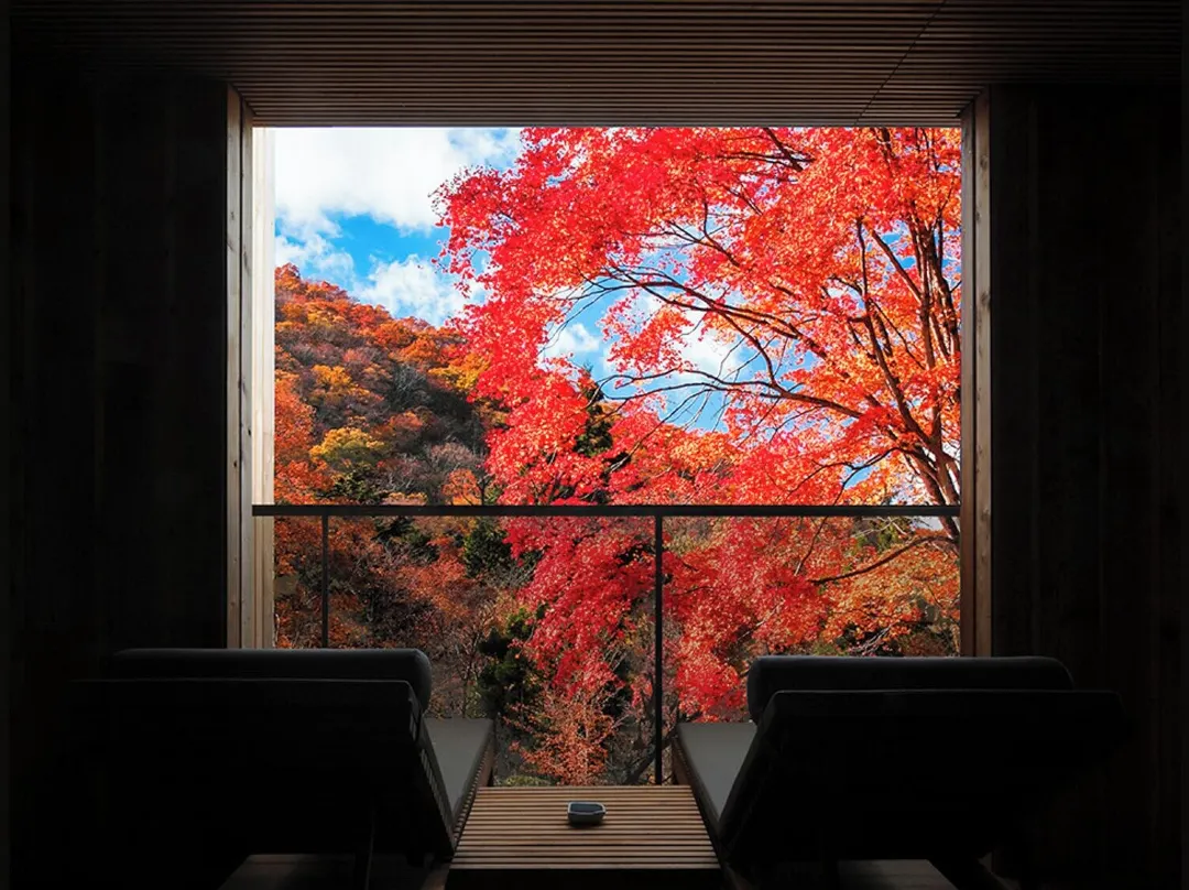 Jijijin Mastsuyama - Matsuyama