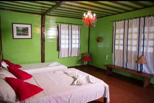 Amazon Resort Island - State of Amazonas