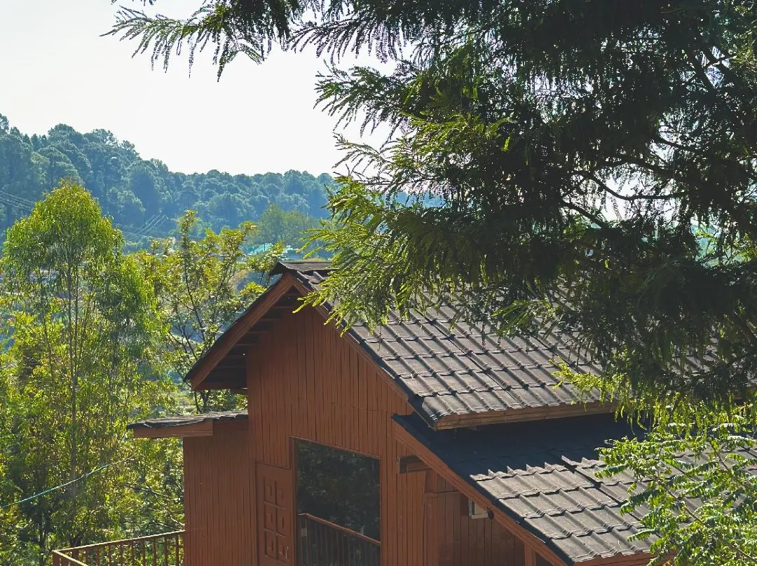 Aarin Jungle Retreat - Palampur