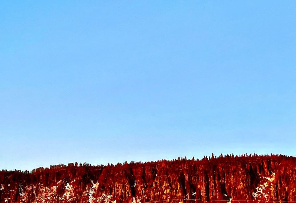 Chernobyl Red Forest Glow