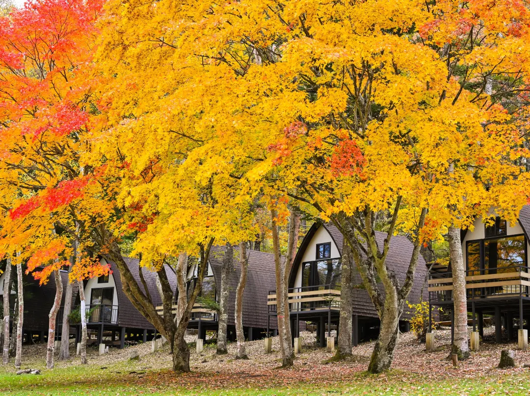 Tiny Garden Tateshina- Camp, Lodge & Cabins - - Japan