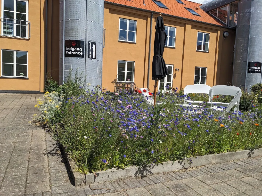 Nexø Modern Hostel. Private Rooms - Bornholm