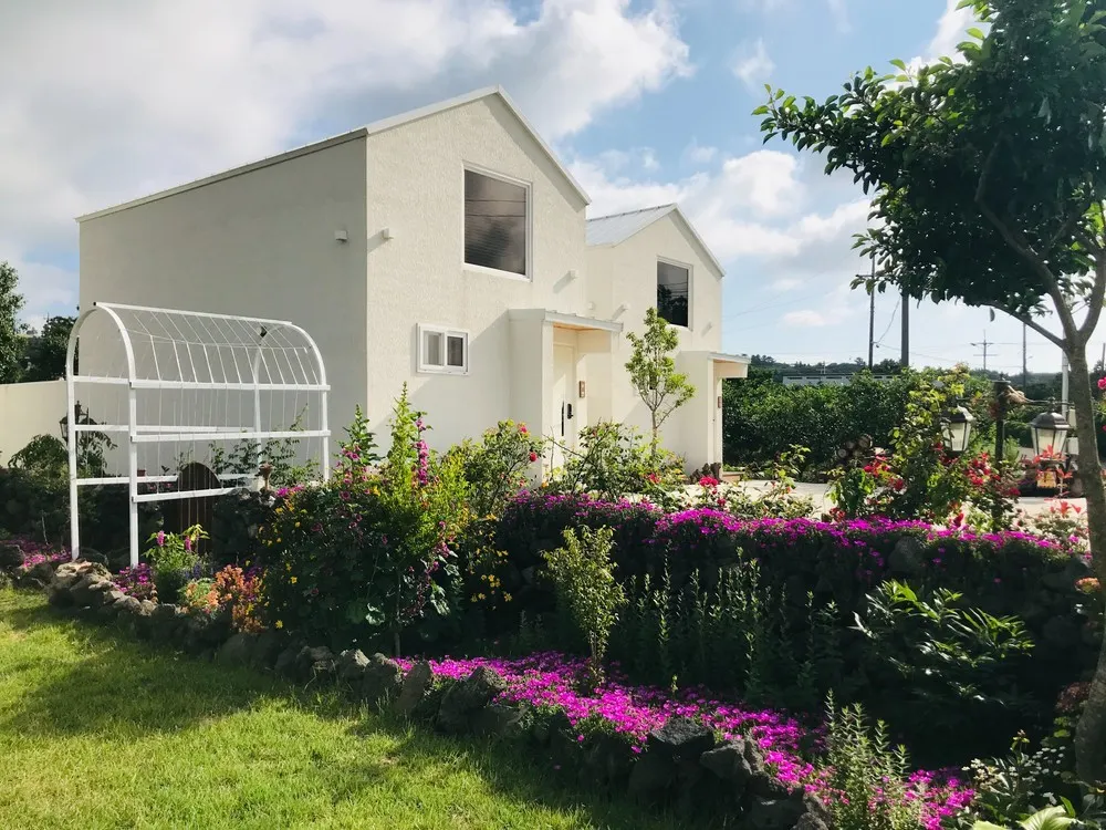 Wasan Stay In Jeju - Csedzsu