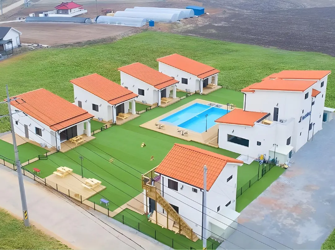The Stay Gold Dog - Incheon
