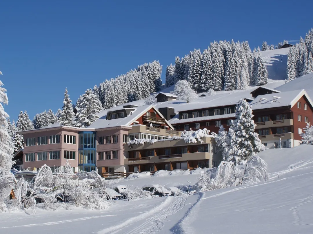 Ferien- Und Familienhotel Alpina Adelboden - Adelboden