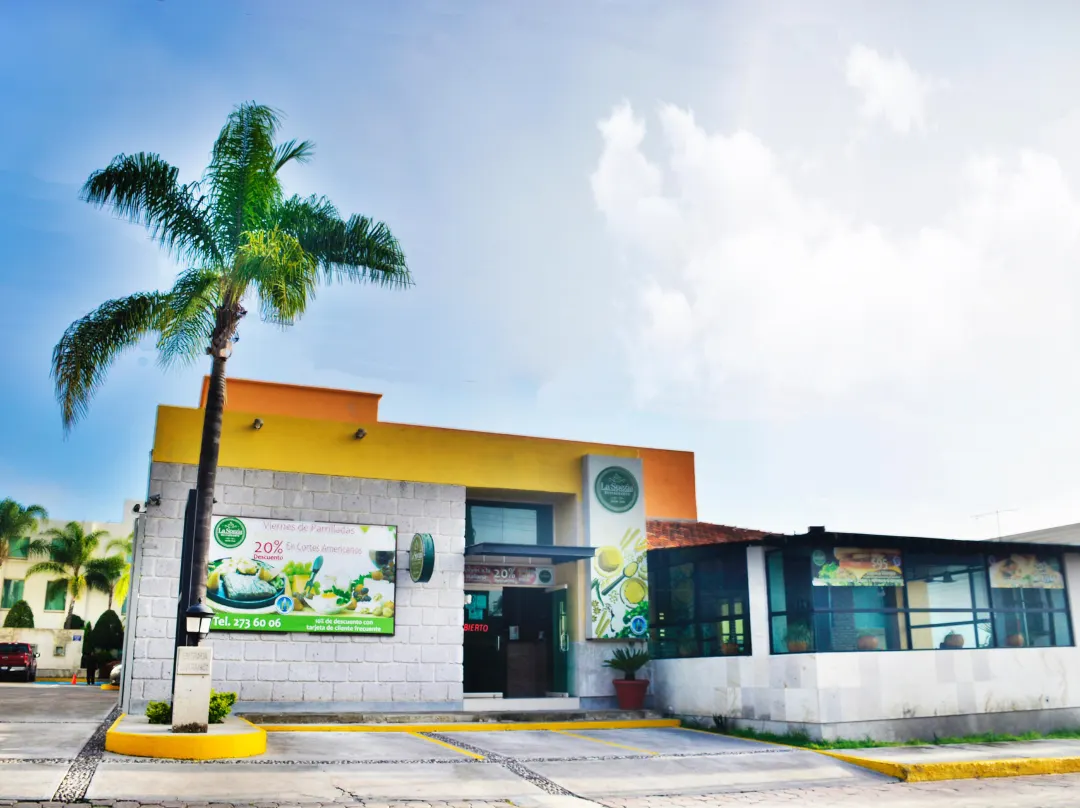 Hotel San Carlos Tequisquiapan - Tequisquiapan