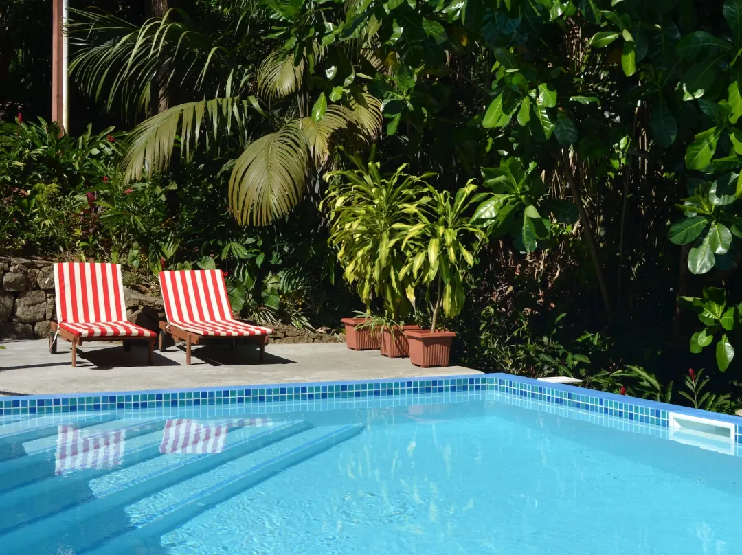 Cashew Nut Grove Chalets - Seychelles