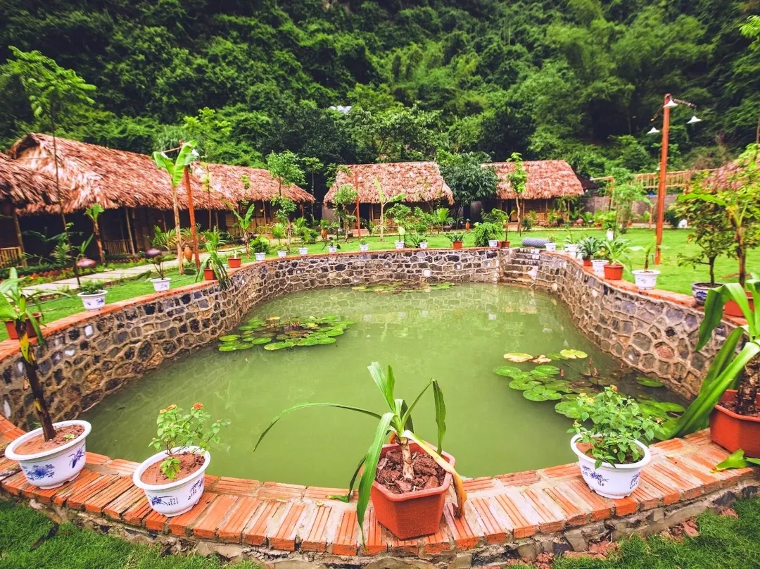 Tam Coc Rice Fields Resort - Tam Điệp