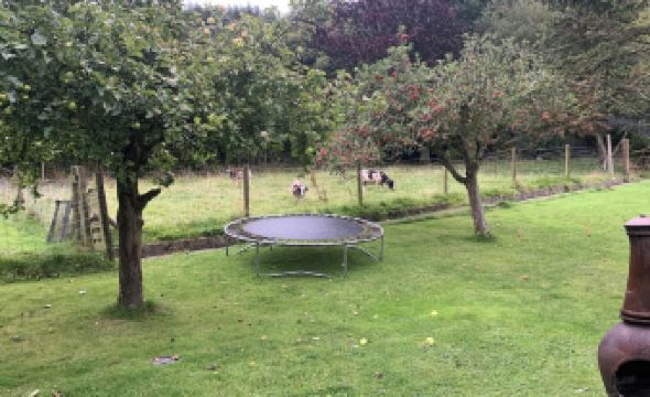 2-Bed Cabin Sleeps 4 -Small Pets Ok -Free Parking, Llansannan - Latest ...