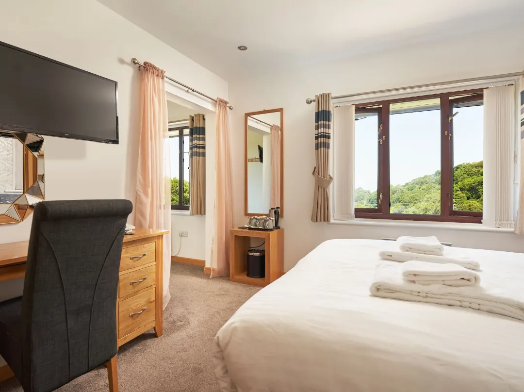The Windmill Inn - Devon