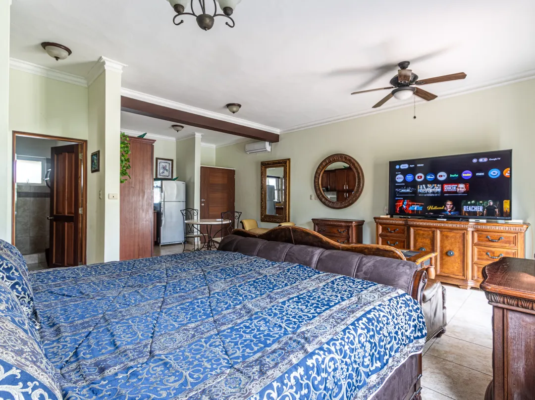 8203 - ¡King, Ocean Dream, Cabarete! - Cabarete