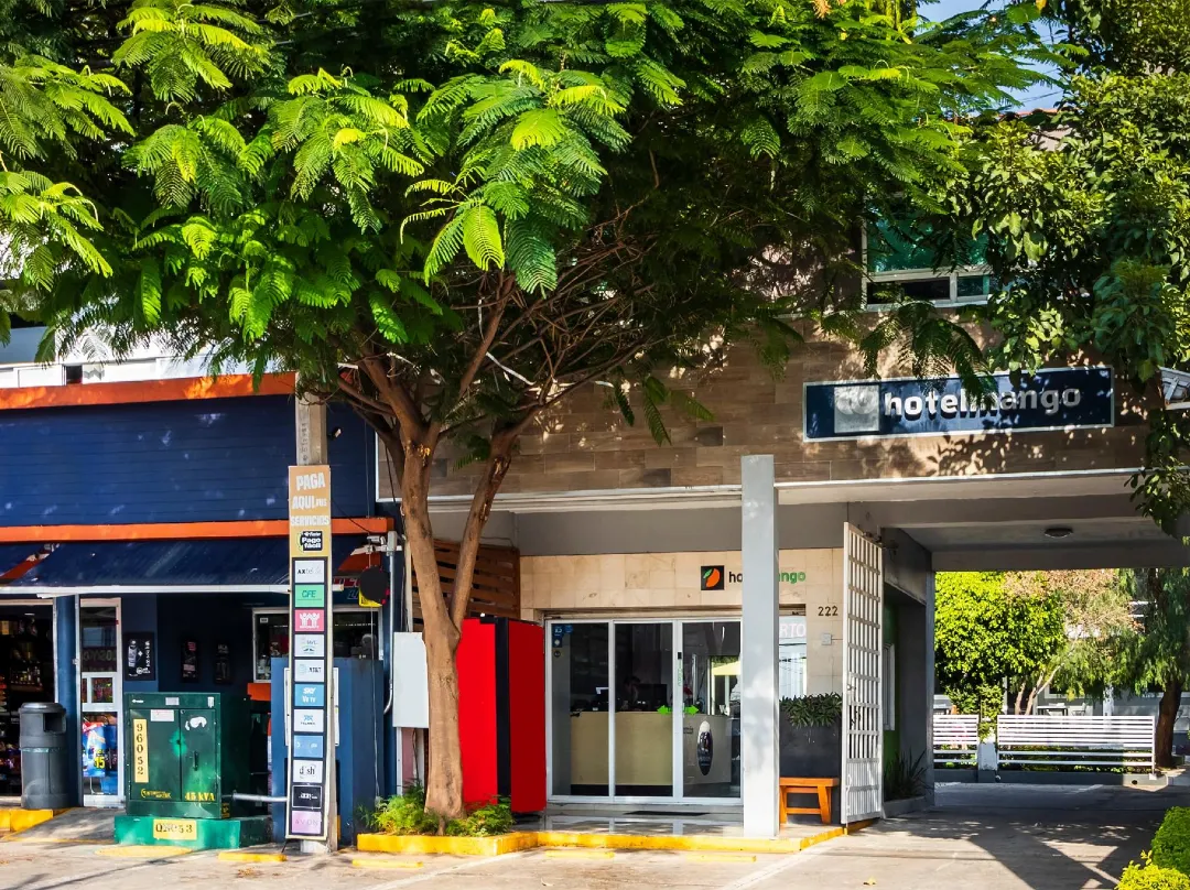 Collection O Hotel Mango,six Flags Hurricane Harbor Oaxtepec - Oaxtepec