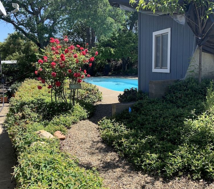 Robin's Nest - Cozy & quiet guest house minutes from historic downtown ...
