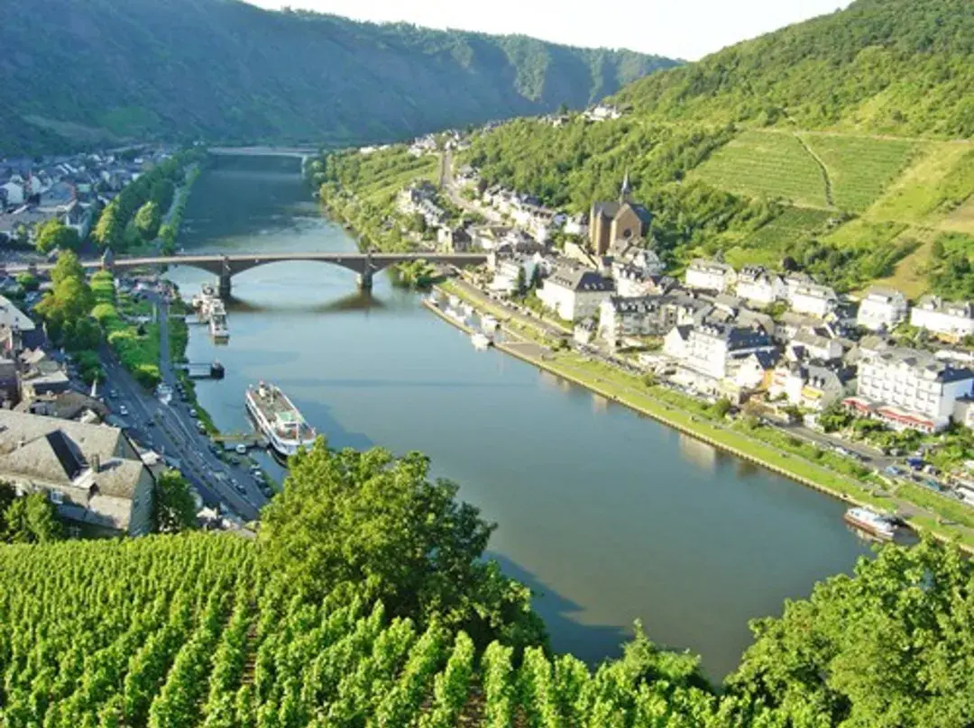 Living Above The Roofs Of Cochem - Cochem