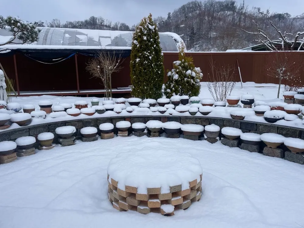 Sarah's Small Garden - Nonsan-si