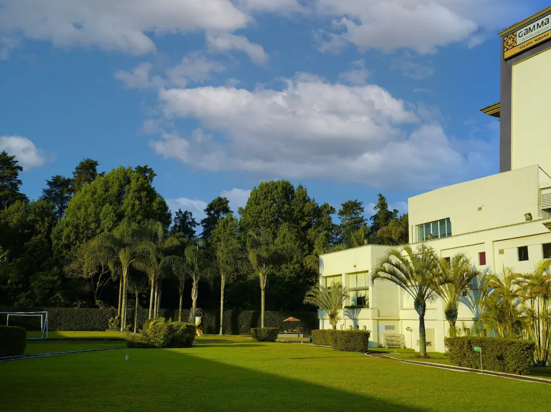 Gamma Xalapa Nubara - Xalapa