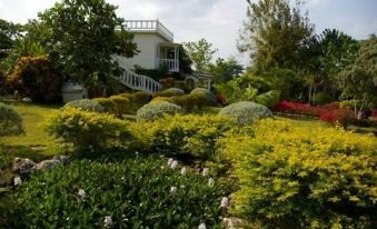 Paradise Fanta Sea Suites,Runaway Bay - Updated 2024 Reviews & Prices ...