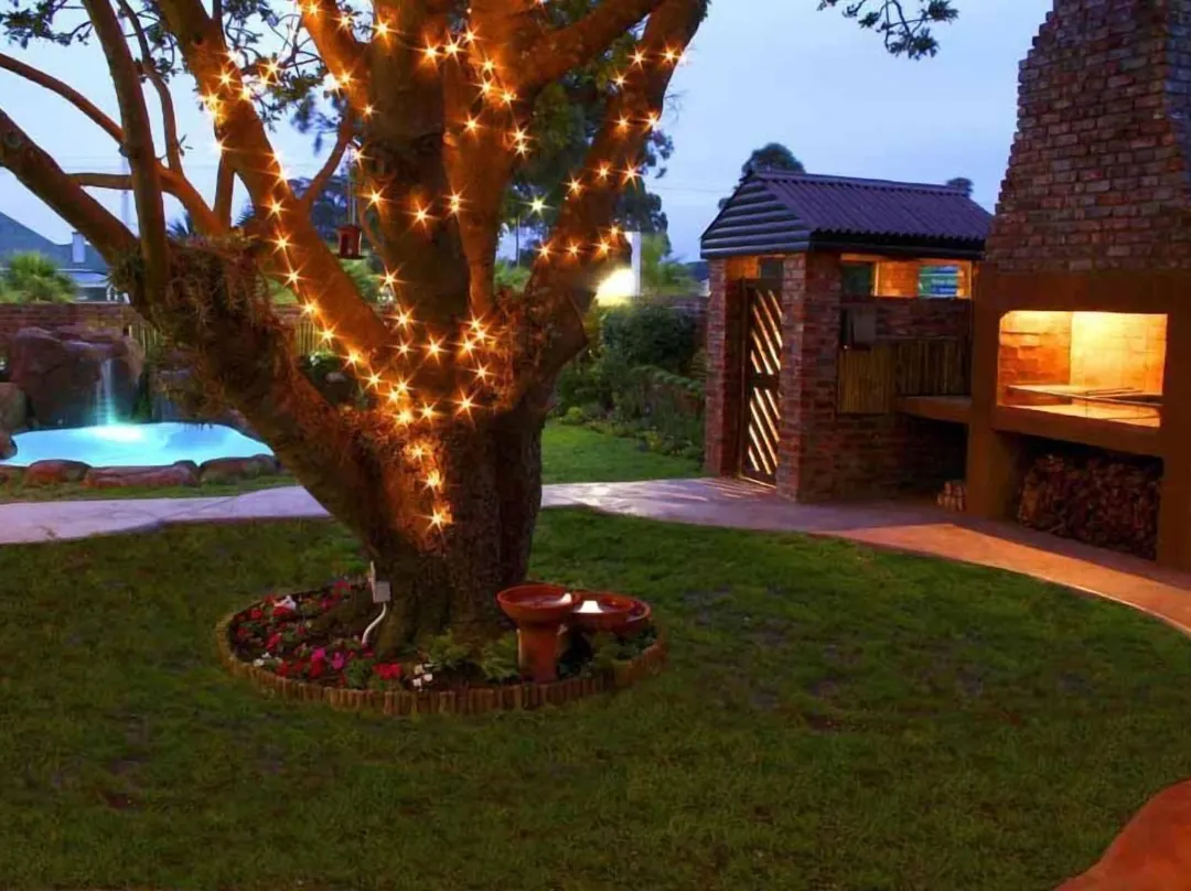 Treetops Guesthouse - Western Cape