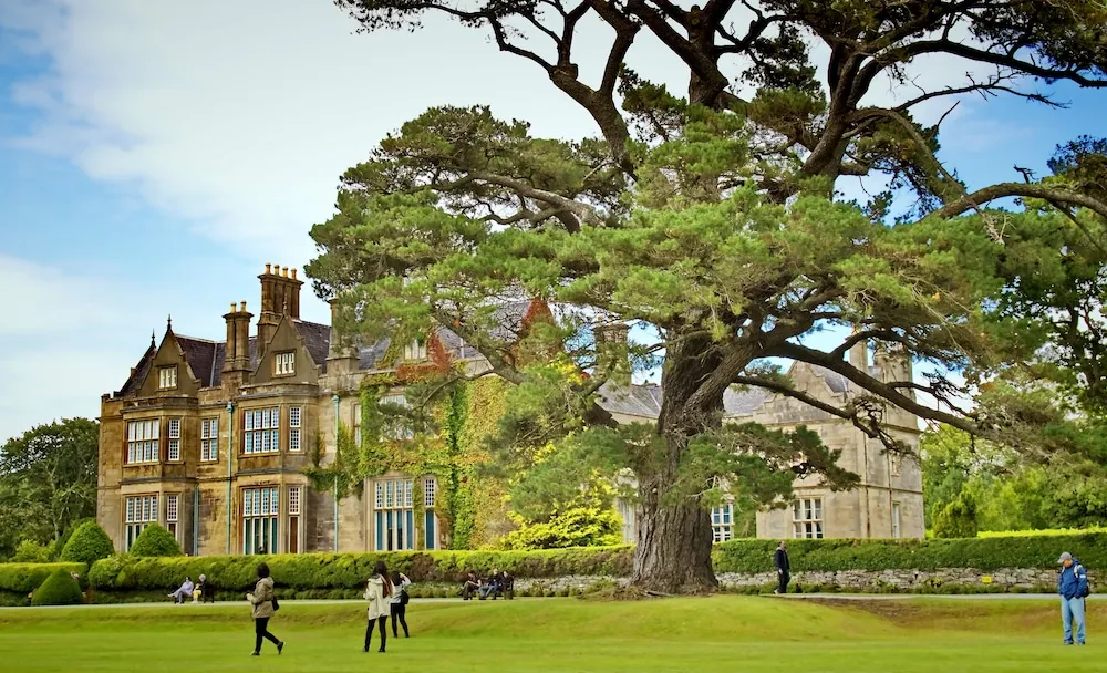 Brook Lodge Boutique Hotel - Killarney