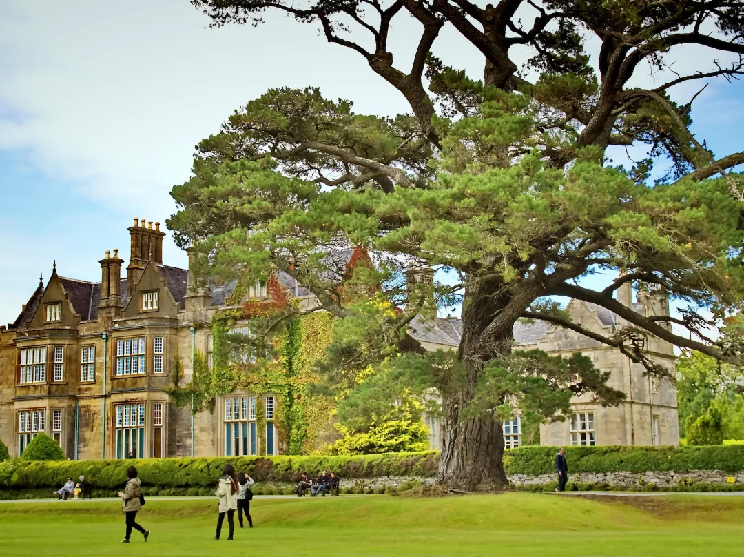 Brook Lodge Boutique Hotel - Killarney