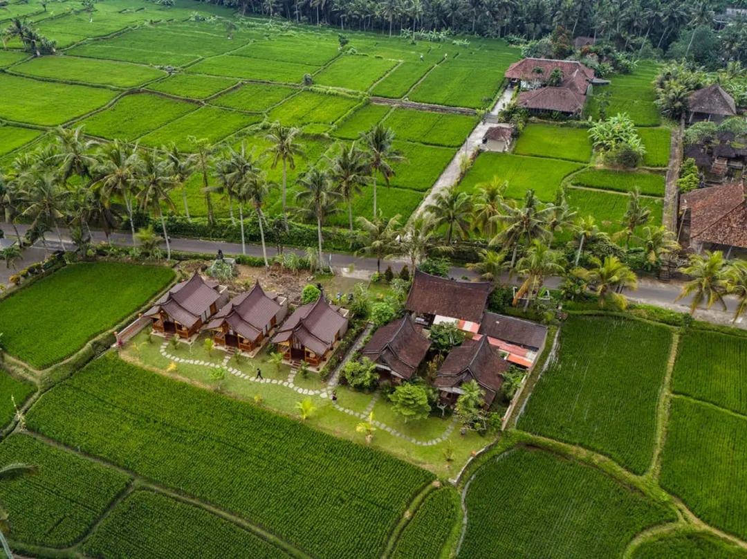 Mathura Ubud - Ubud