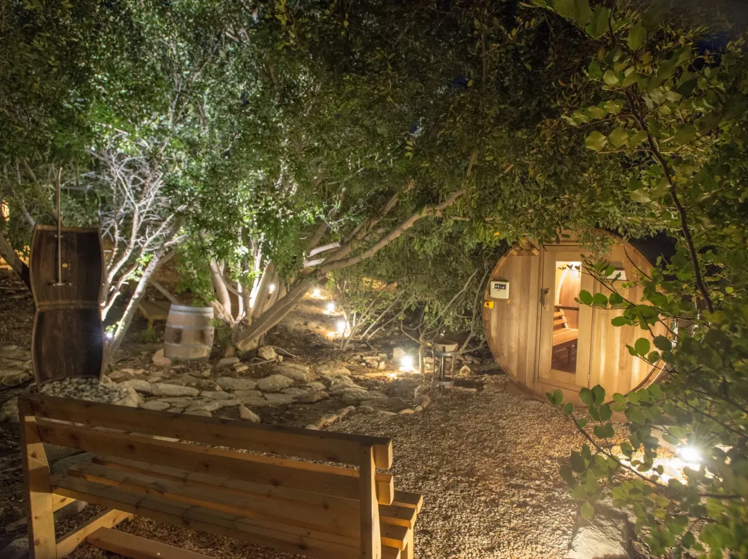 Carmey Avdat Farm - Israel