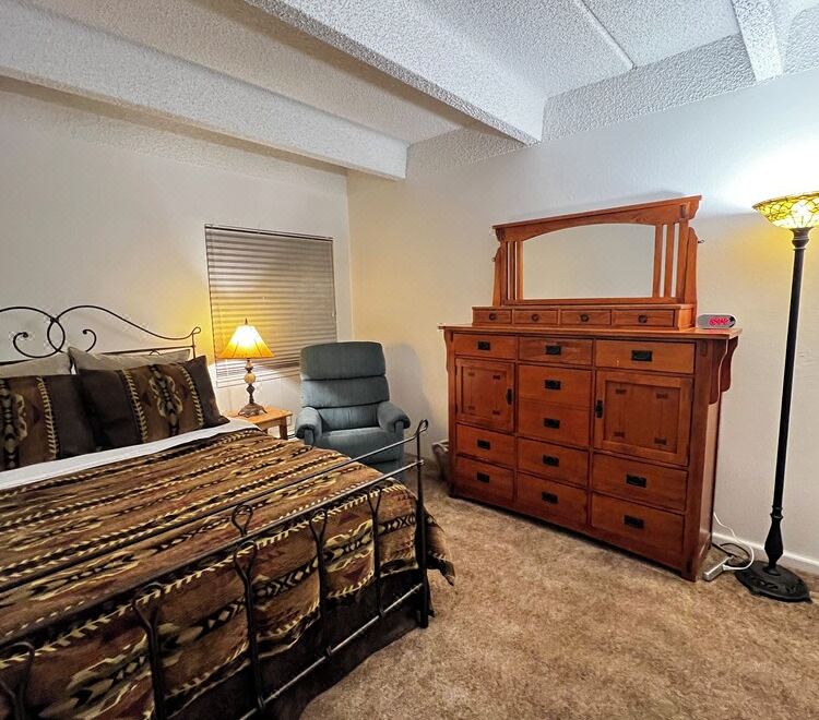 COPPER SKI MOUNTAIN EAST VILLAGE, PET FRIENDLY, VIEWS of SKY CHUTES ...