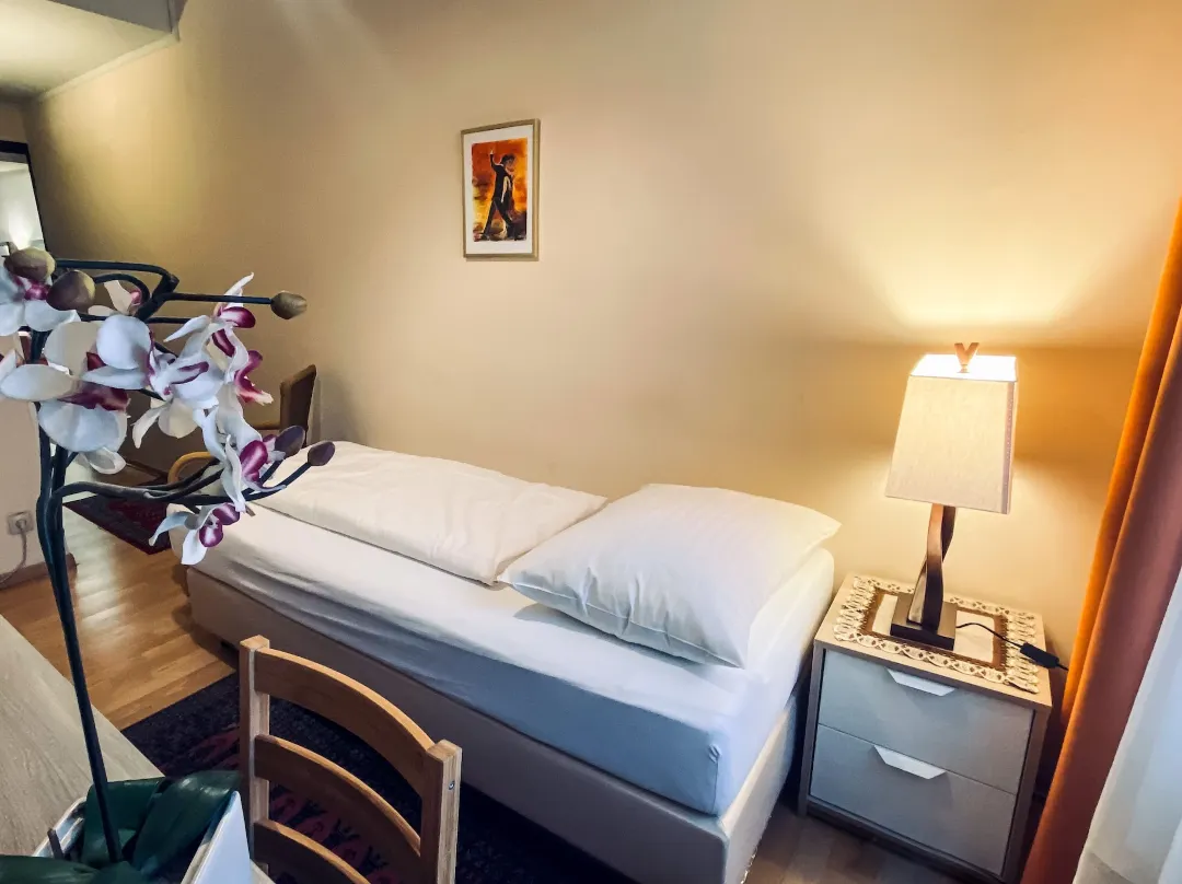 Pension Hotel Mariahilf - 維也納