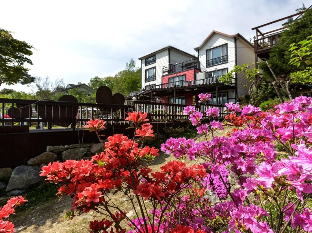 Opirus Pension - Gwangju