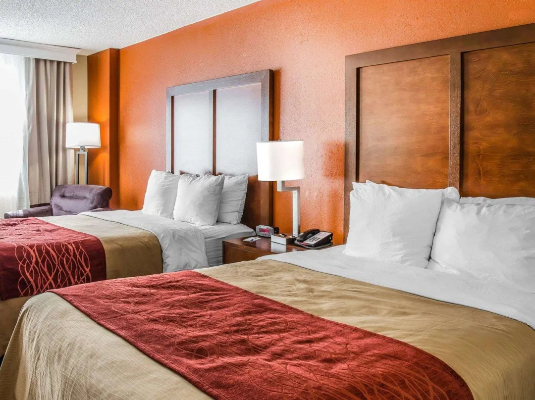 Comfort Inn & Suites Lakeland North I-4 - Lakeland, FL