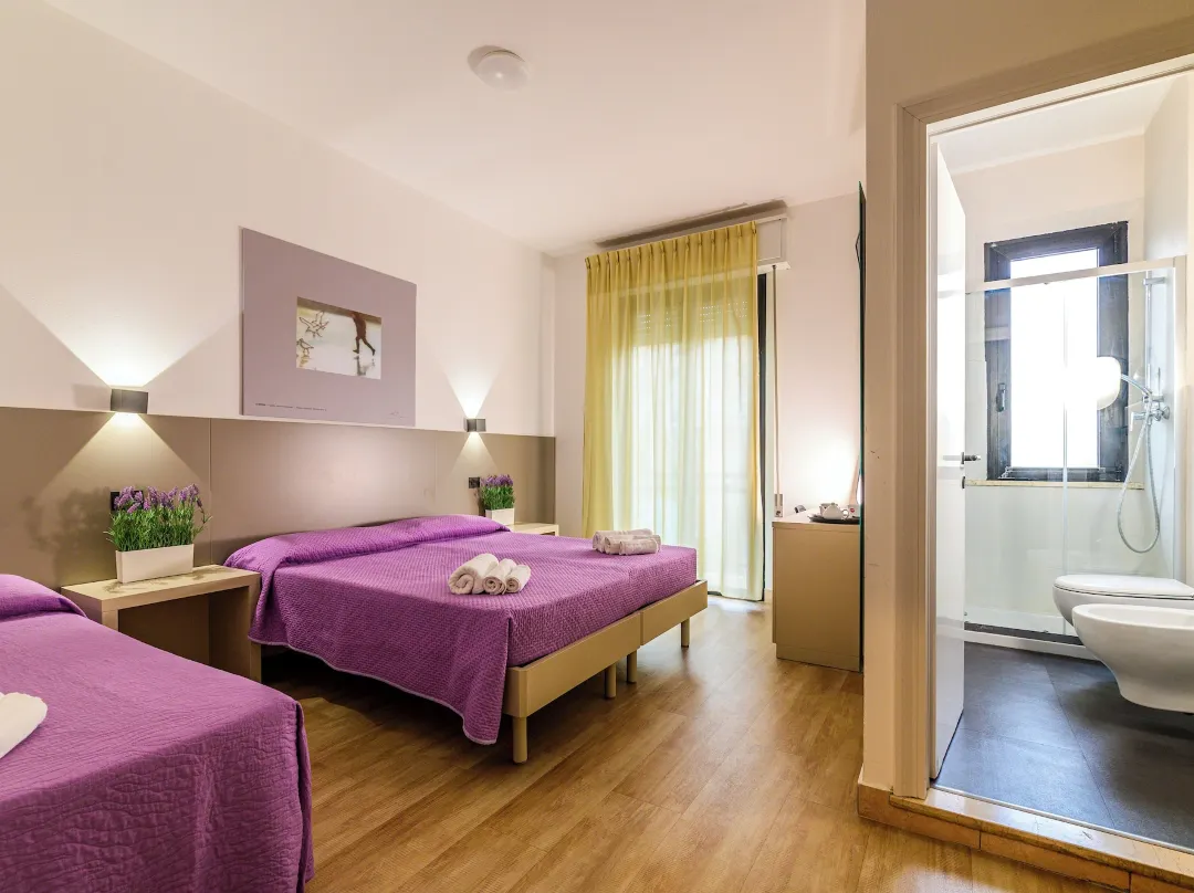 Vinsea Hotel - Bellaria - Igea Marina