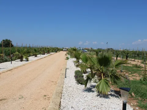 Smiles & Sunsets - Marino's Resort - Sicily