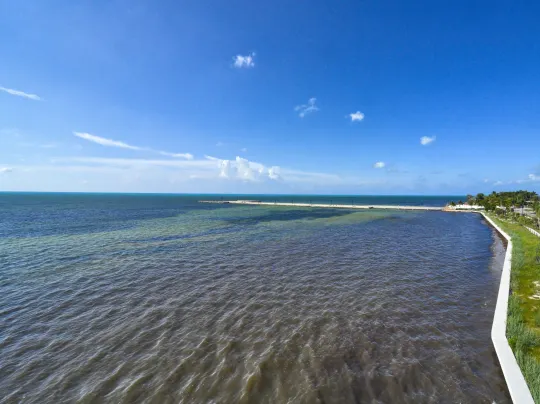 Breathtaking Ocean Views And Private Patio - Charming Coastal Haven - Key West, FL