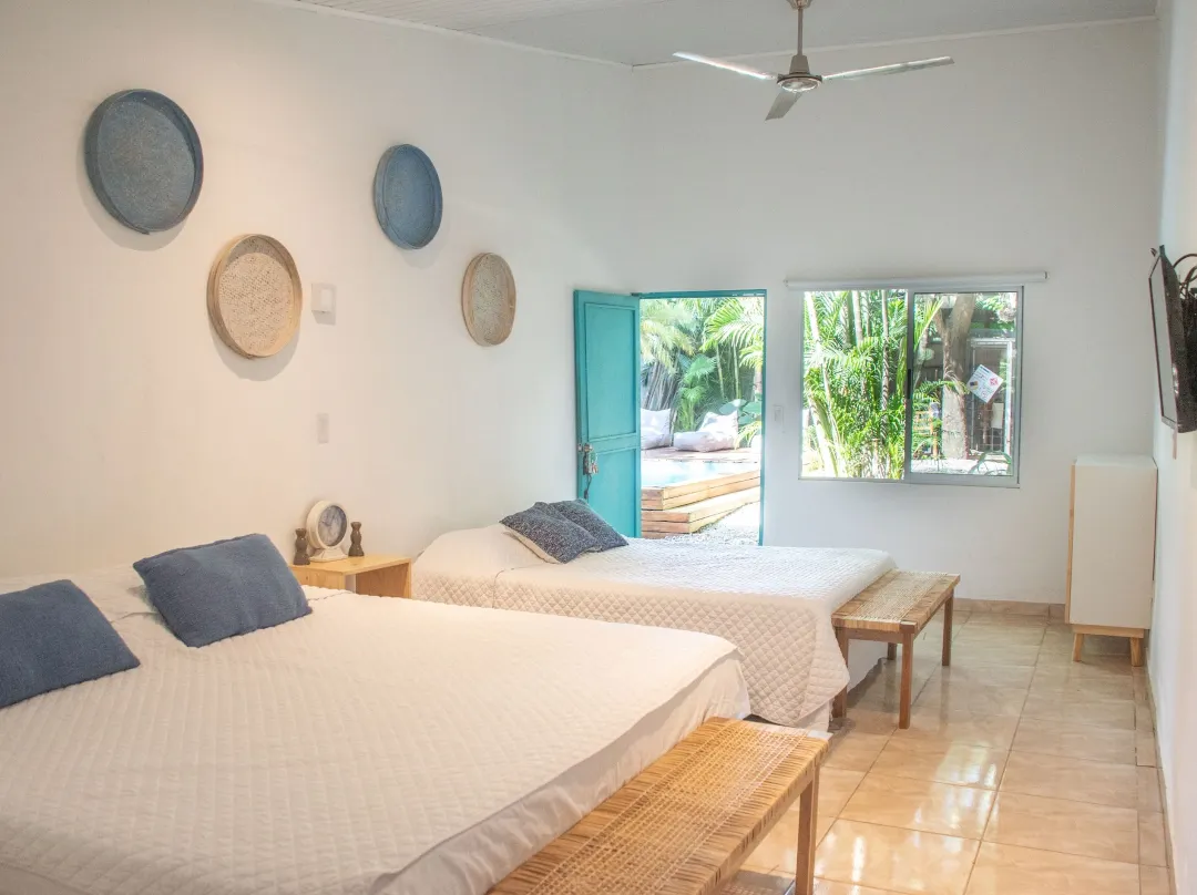 La Oveja Surf House - Tamarindo