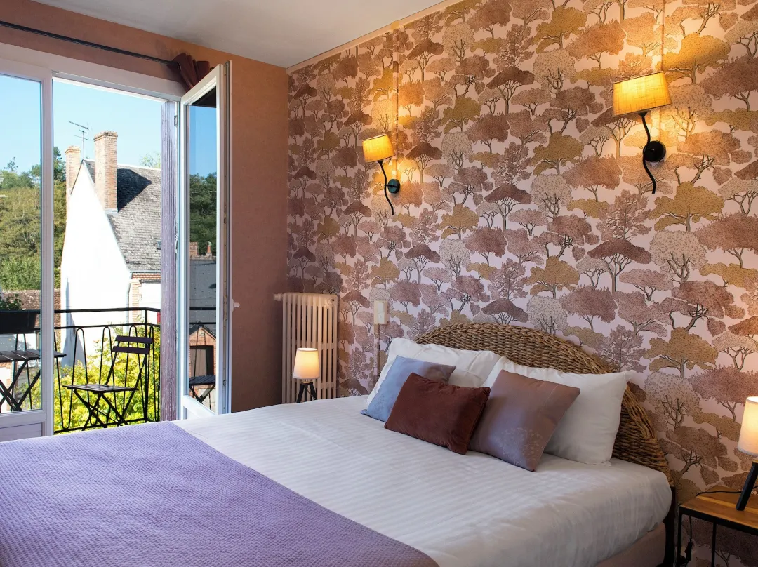Logis Hôtel Saint Cyr - Loir-et-Cher