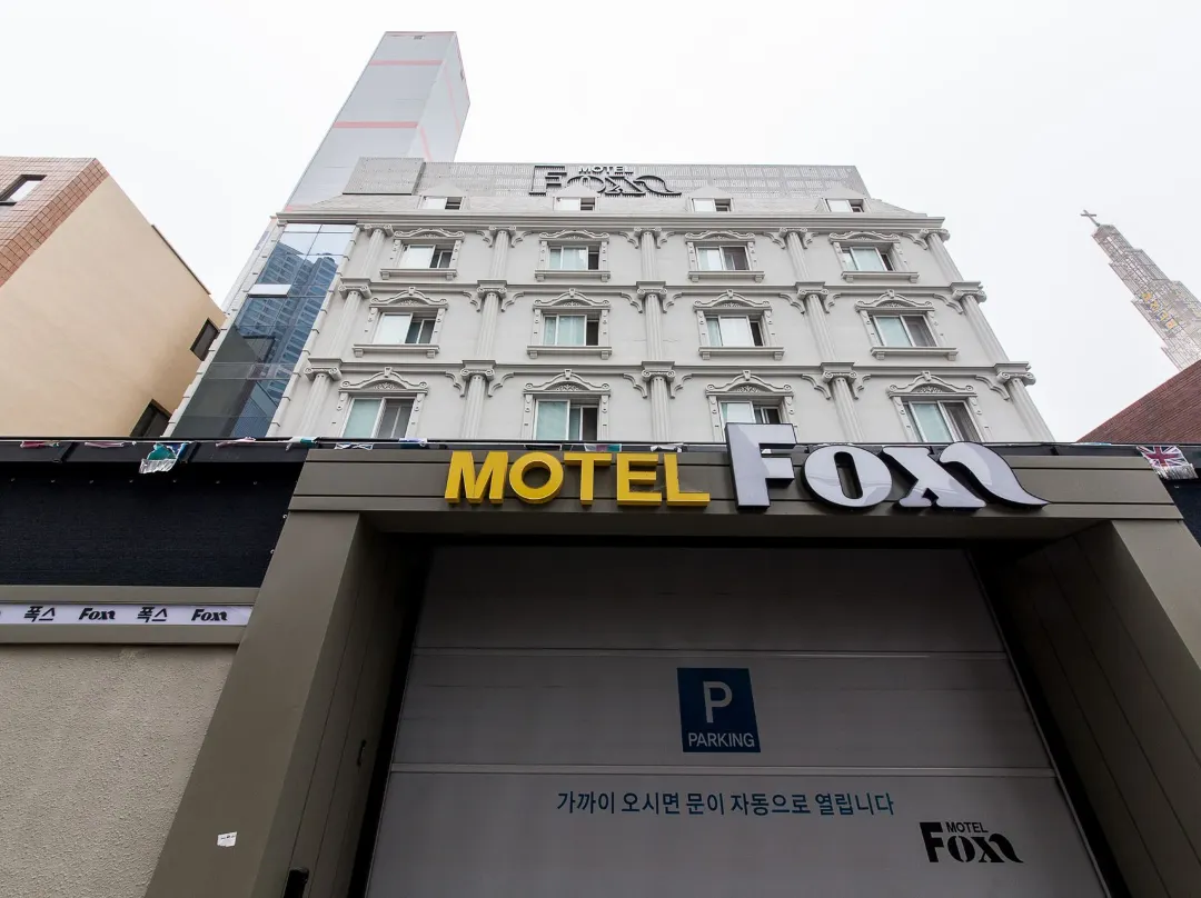 Daegu Dusan-dong Fox - Taegu